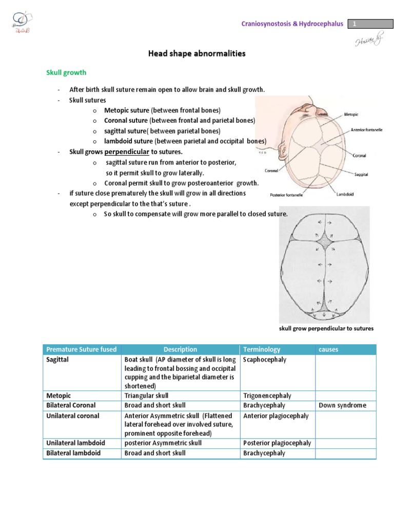 Understanding Abnormalities of Head Shape and Hydrocephalus: A Guide to ...