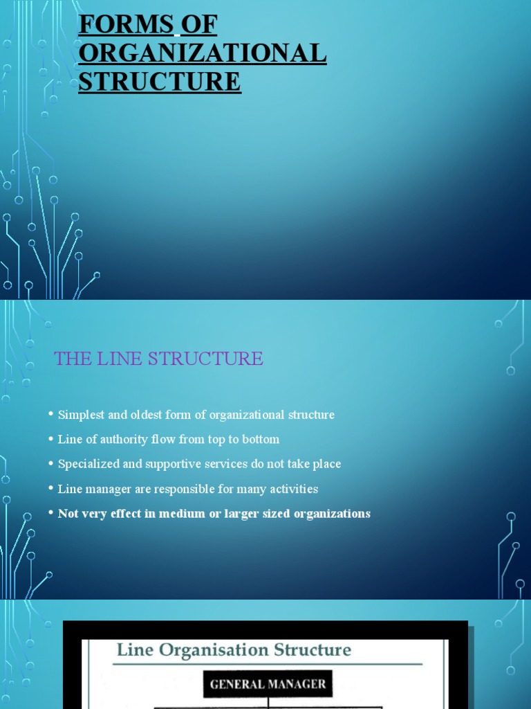 Forms OF Organizational Structure | PDF