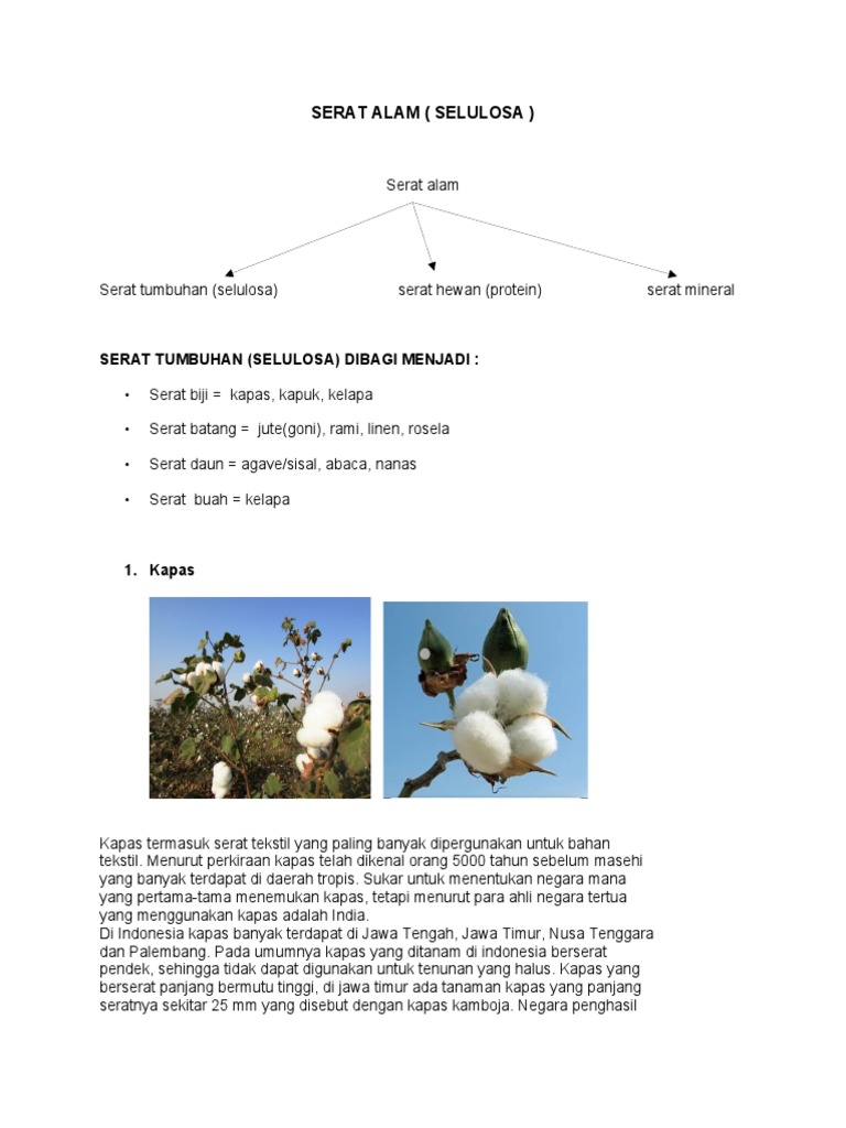 Materi Serat Alam (Selulosa) | PDF