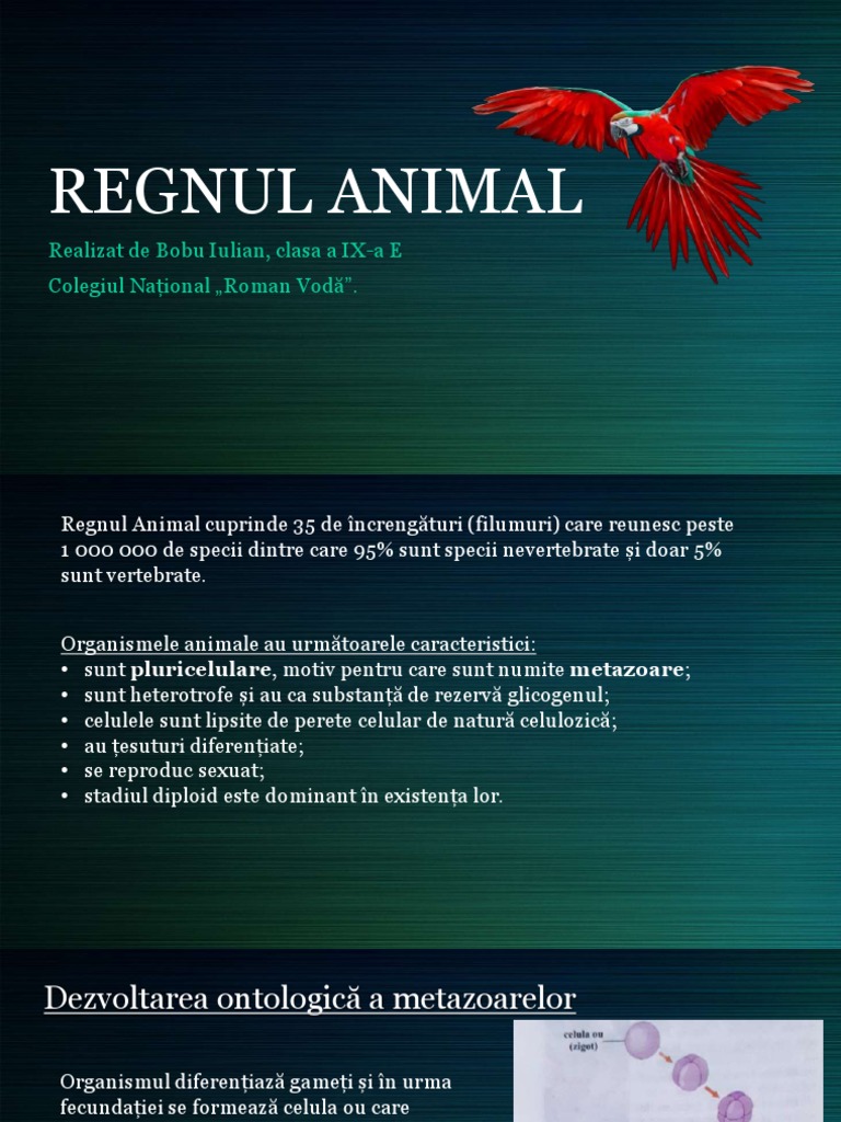 Regnul Animal | PDF
