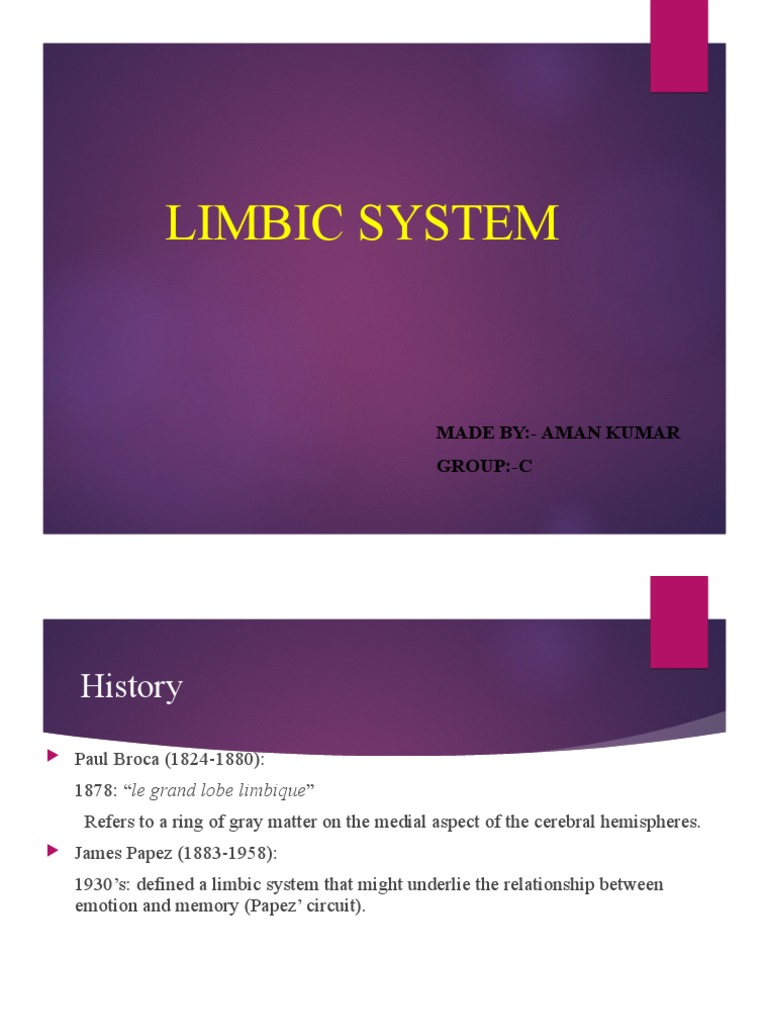 Limbic System | PDF | Limbic System | Amygdala