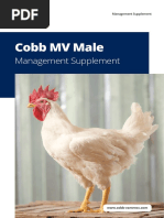 2022 Cobb500 Broiler Performance Nutrition Supplement | PDF | Broiler | Amino Acid