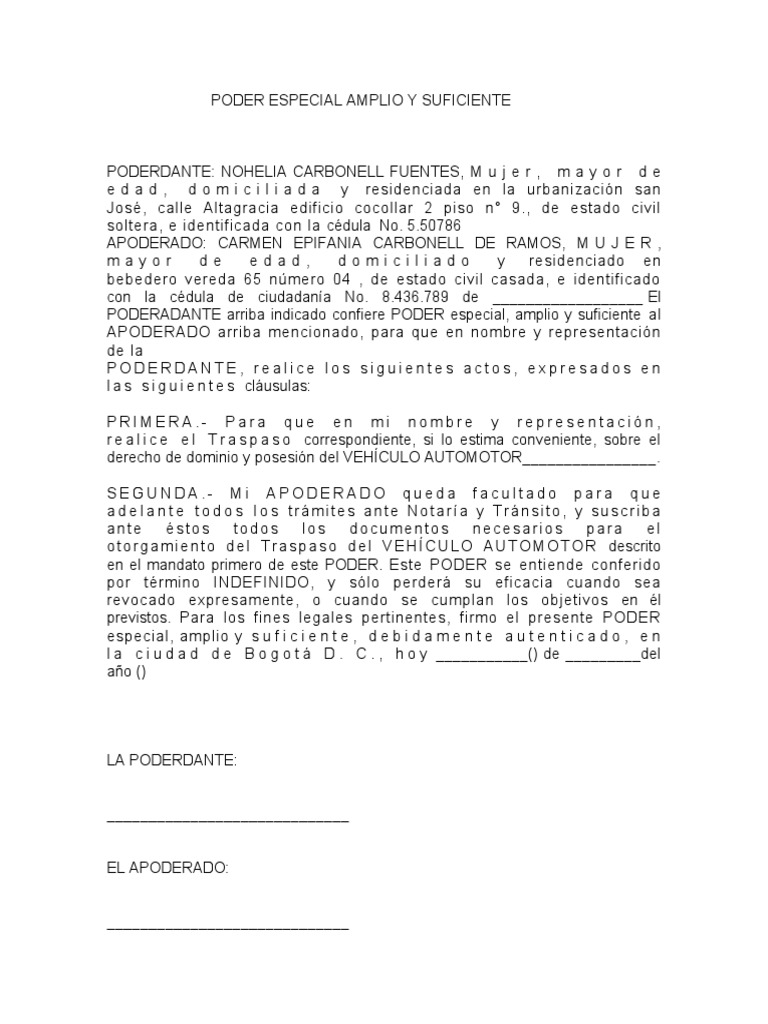Poder Especial Amplio y Suficiente | PDF