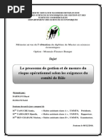 Presentation 1 | PDF | Risque opérationnel | Risque