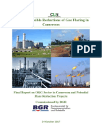 1-Field Life Cycle | PDF | Petroleum Reservoir | Product Lifecycle