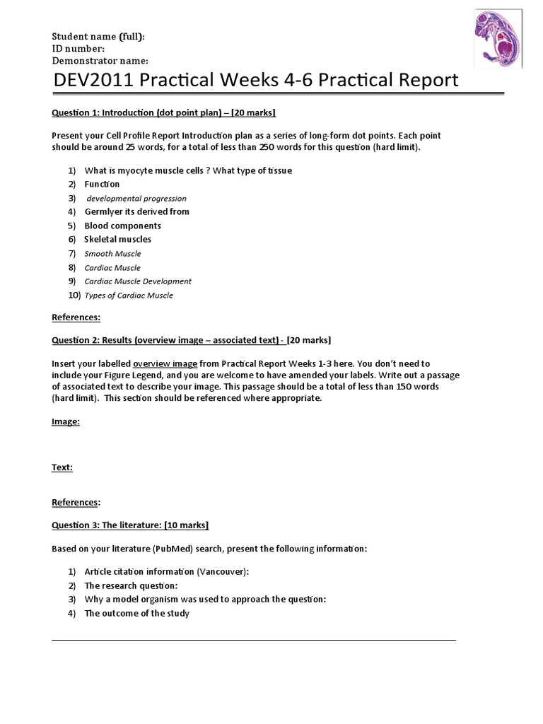 DEV2011 2021 Practical Weeks 4-6 Practical Report - FORM | PDF