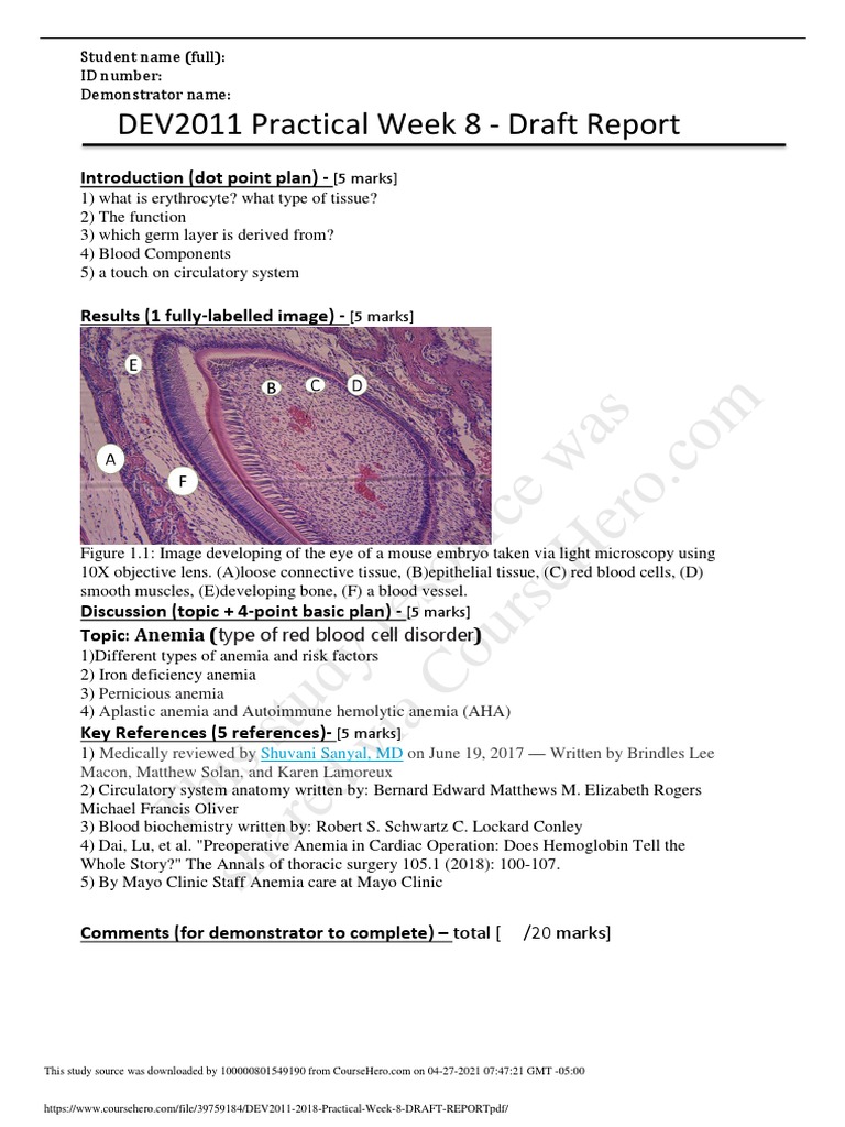 DEV2011 2018 Practical Week 8 DRAFT REPORT PDF | PDF | Anemia | Blood