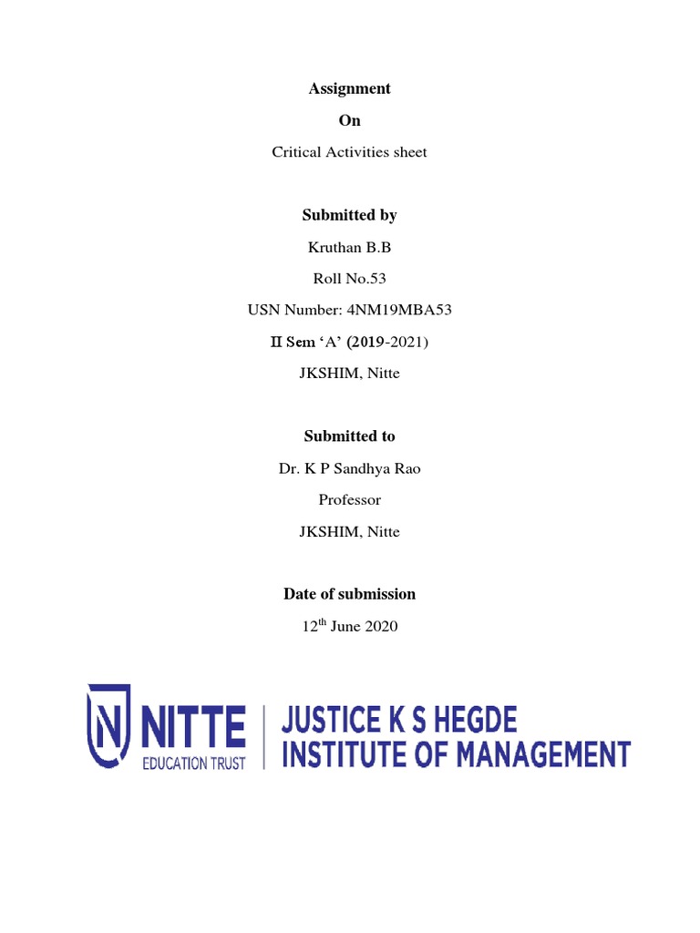 Critical Activities Sheet: Assignment On | PDF