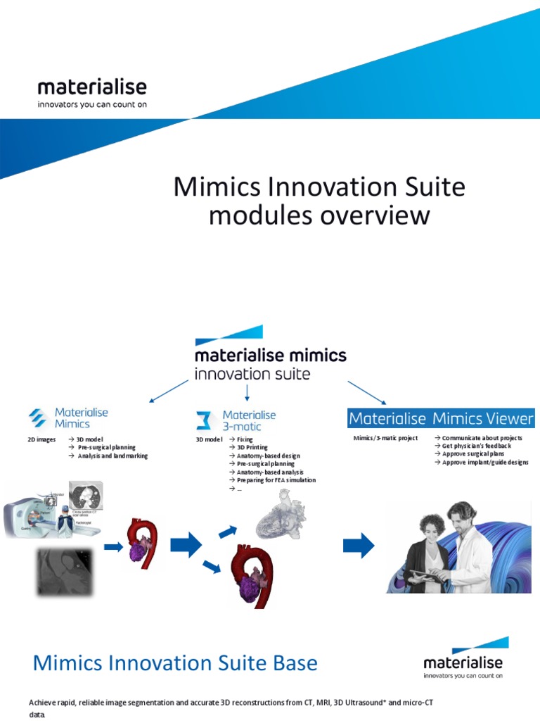 MIS Modules Overview | PDF | Image Segmentation | 3 D Computer Graphics