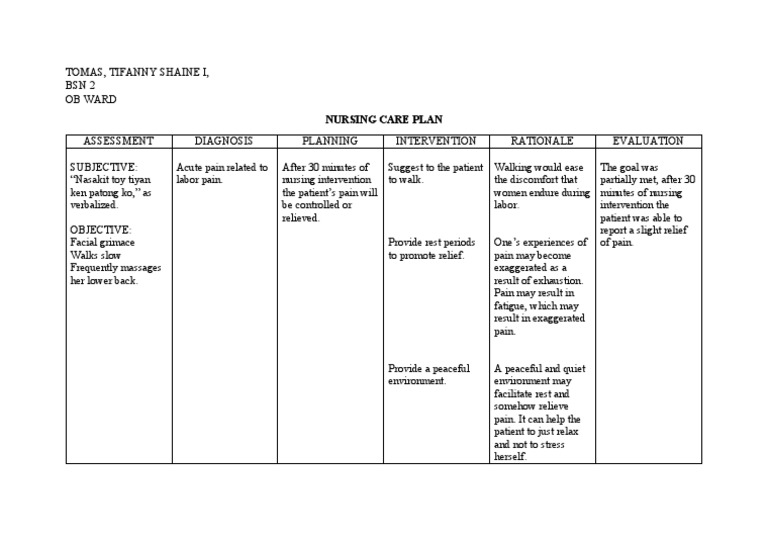 Nursing Care Plan for Labor Pain Relief | PDF | Pain | Health Sciences