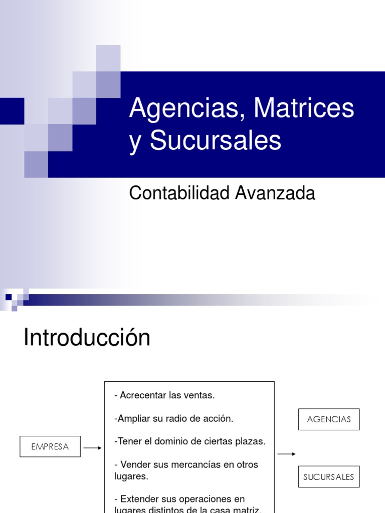 Presentacion Matrices y Sucursales | PDF | Contabilidad | Matriz (Matemáticas)