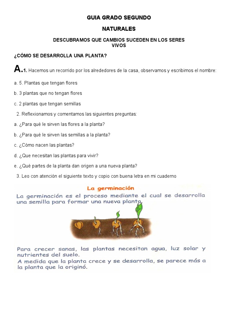 Guia Naturales Segundo Periodo 2 | PDF | Fauna | Plantas