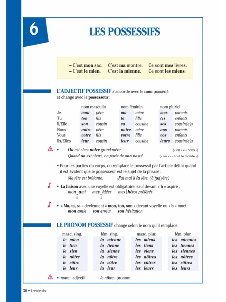 Les Adjectifs Possessifs Et La Famille | PDF