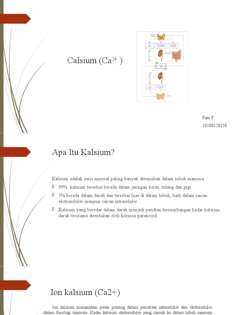 Metabolisme Kalsium | PDF