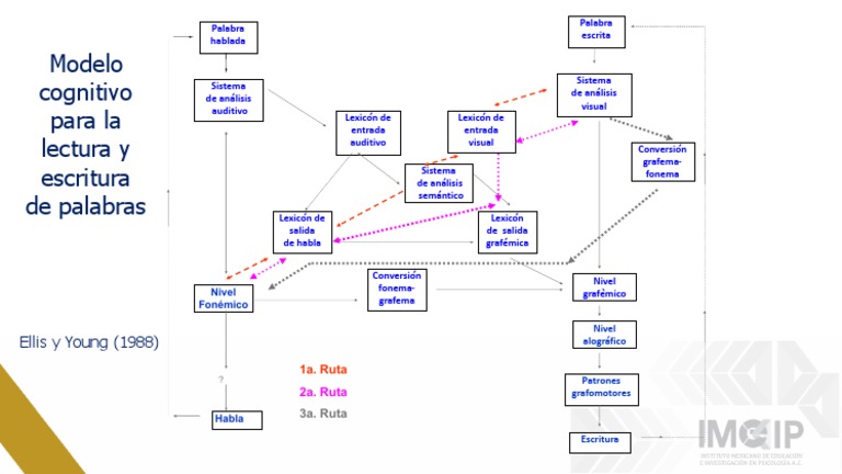 Ellis y Young | PDF | Palabra | Evaluación neuropsicológica