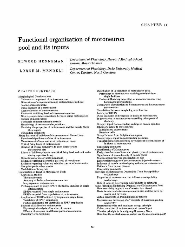 Functional Organization of Motoneuron Pool and Its Inputs | PDF | Motor ...