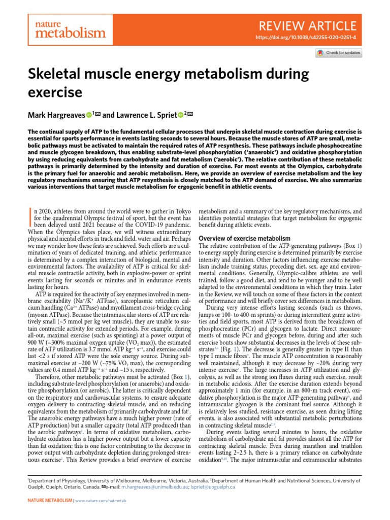 Skeletal Muscle Energy Metabolism During Exercise SPRIET | PDF ...