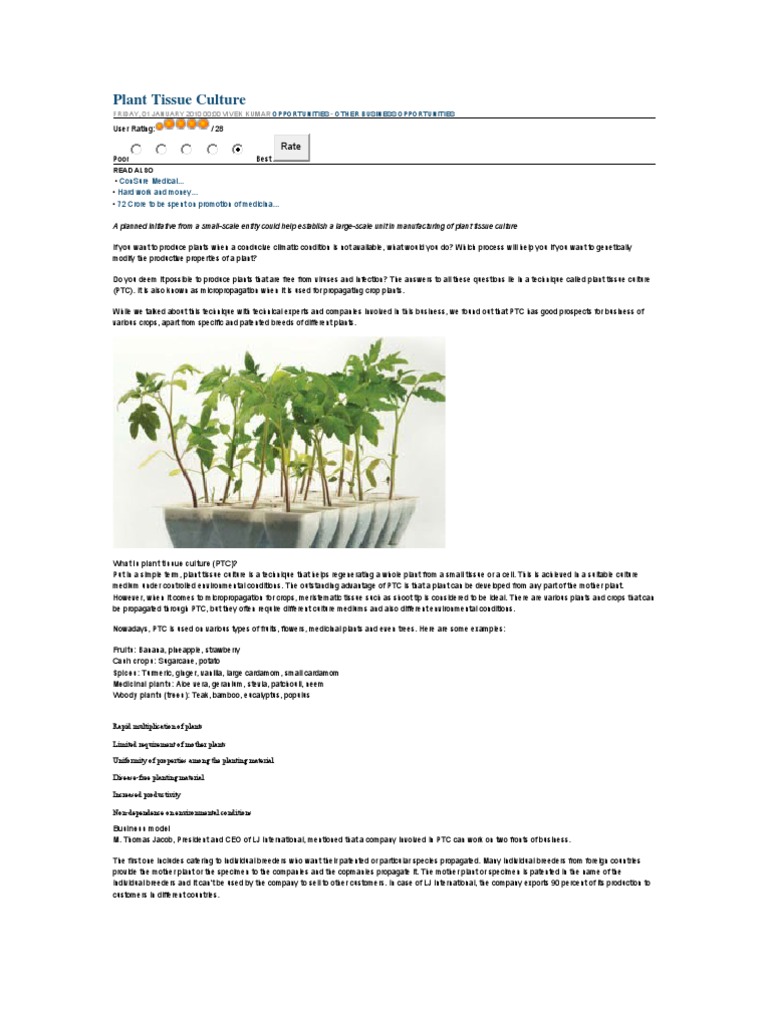 Plant Tissue Culture | PDF | Biotechnology | Agriculture