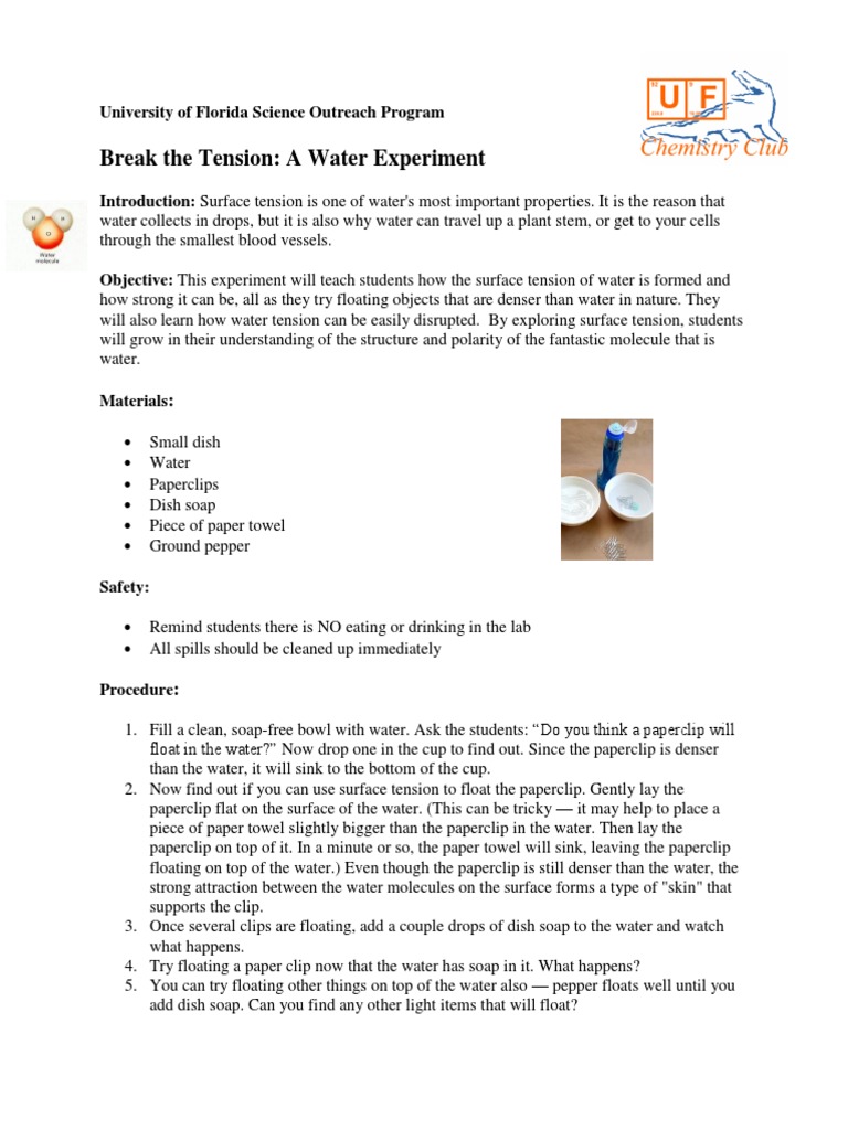 Break The Tension A Water Experiment | PDF | Chemical Polarity | Nature