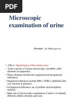 Urine Microscopic Exam Reference Chart | PDF