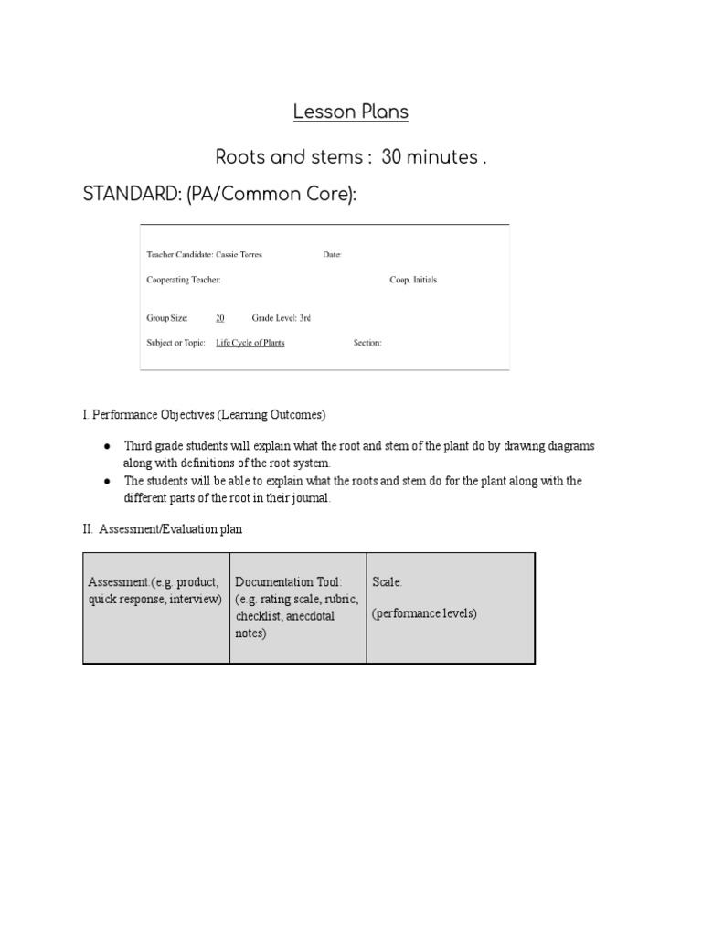 Lesson Plan Roots and Stems | PDF | Root | Educational Assessment