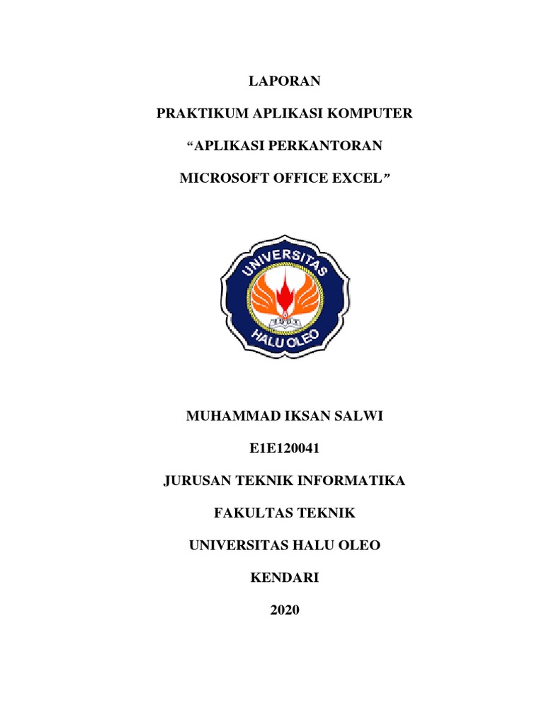 Praktikum Microsoft Excel: Laporan Aplikasi | PDF | Seni | Komputer