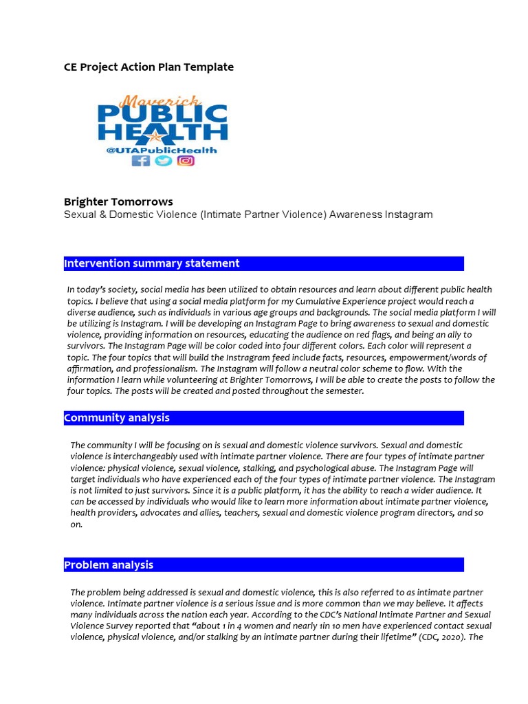 CE Project Action Plan Template: Intervention Summary Statement | PDF ...