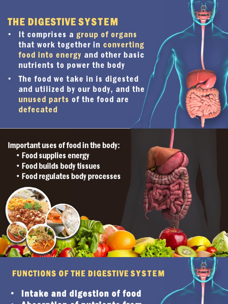 Science 8-Digestive System | PDF | Human Digestive System | Digestion