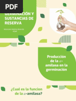 Cultivo Axénico | PDF
