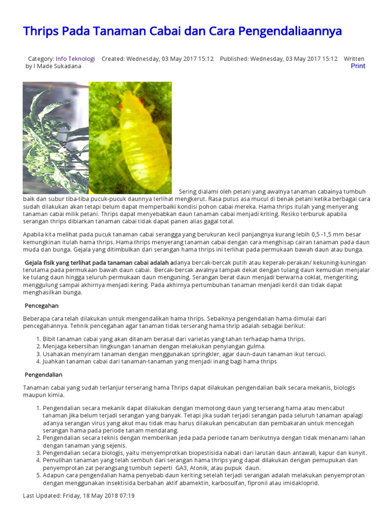 Thrips Pada Tanaman Cabai Dan Cara Pengendaliaannya | PDF | Teknologi & Rekayasa