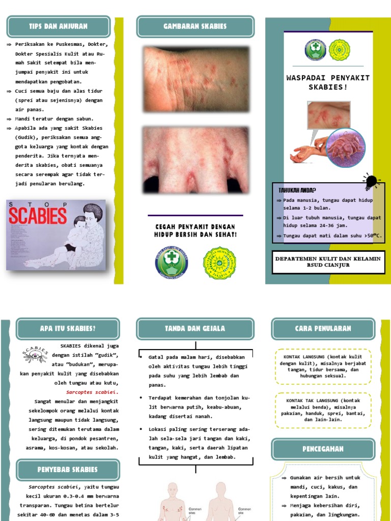 Leaflet Scabies | PDF