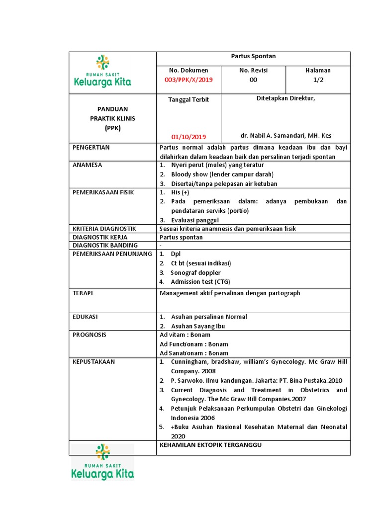 PPK Partus Normal RSKK | PDF