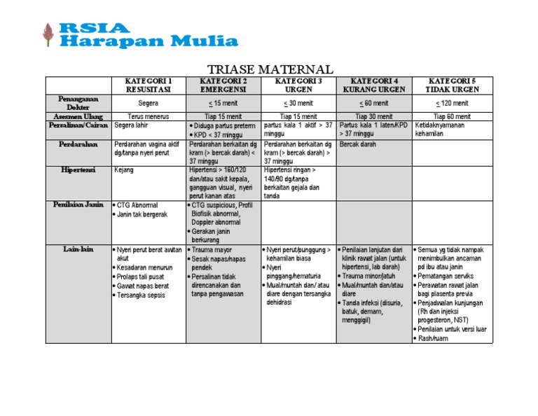 4-28-21-UP-Form-Triase-Maternal - RSIAHM | PDF