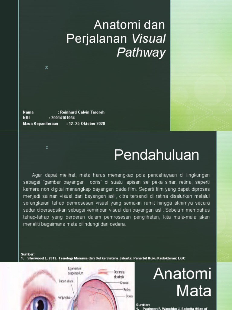 Anatomi & Jalur Visual Mata | PDF