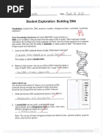 Building Macromolecules Activity - Student Handout - Updated 2020 | PDF ...