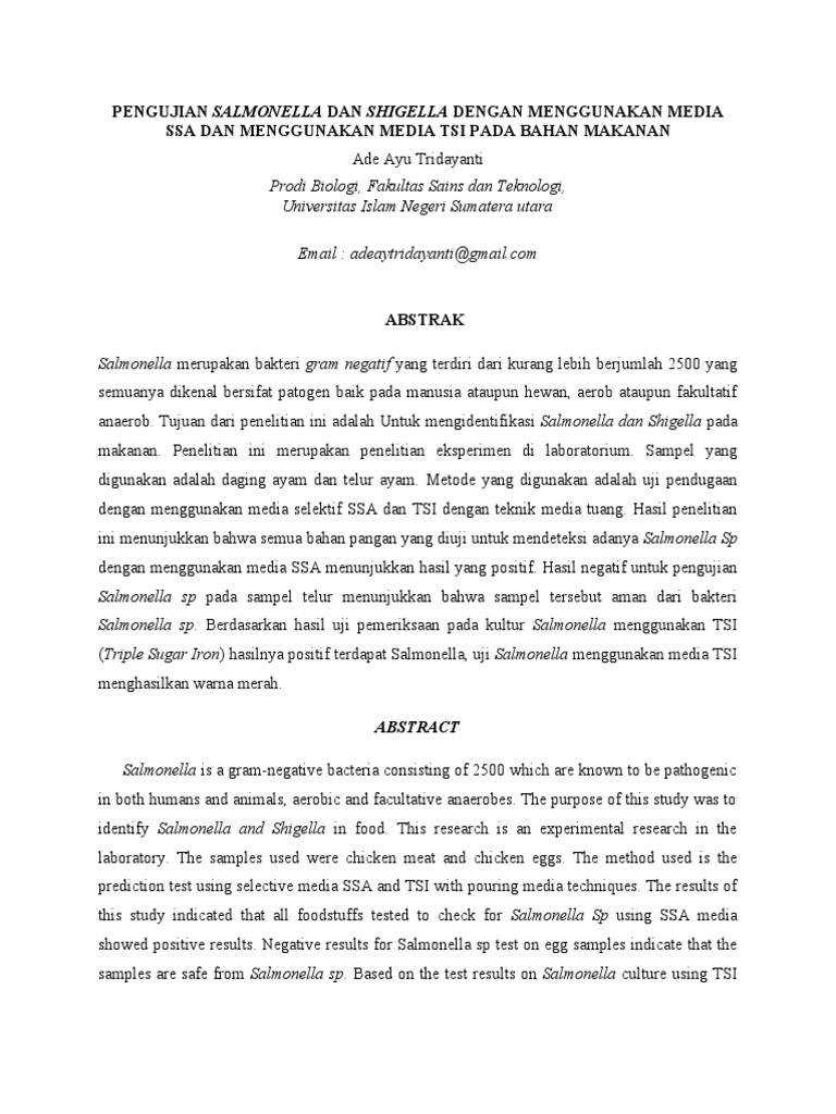 PKL Jurnal Ade Ayu | PDF