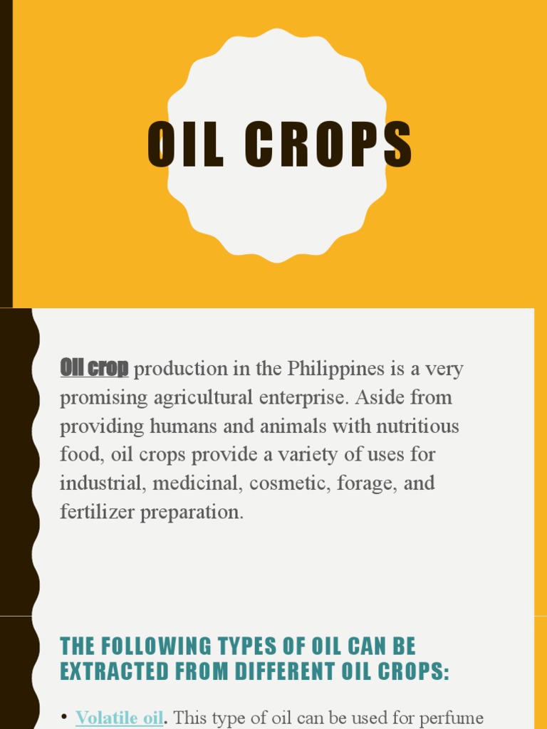 Oil Crops | PDF | Seed | Agriculture