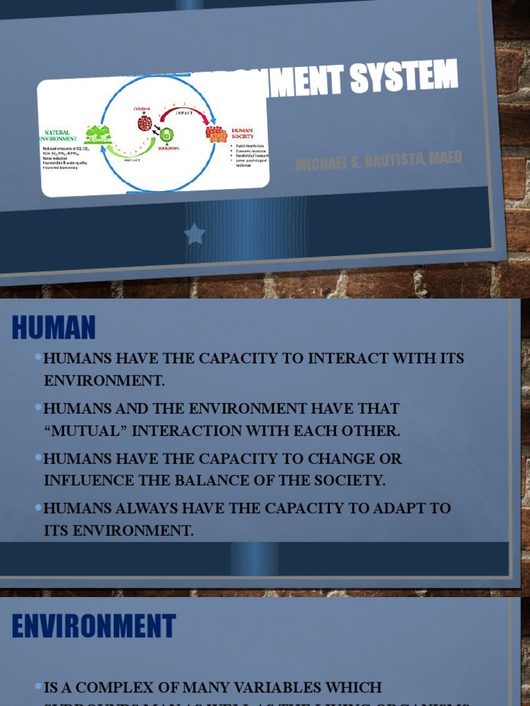 Human Environment System: Michael S. Bautista, Maed | PDF | Intensive ...