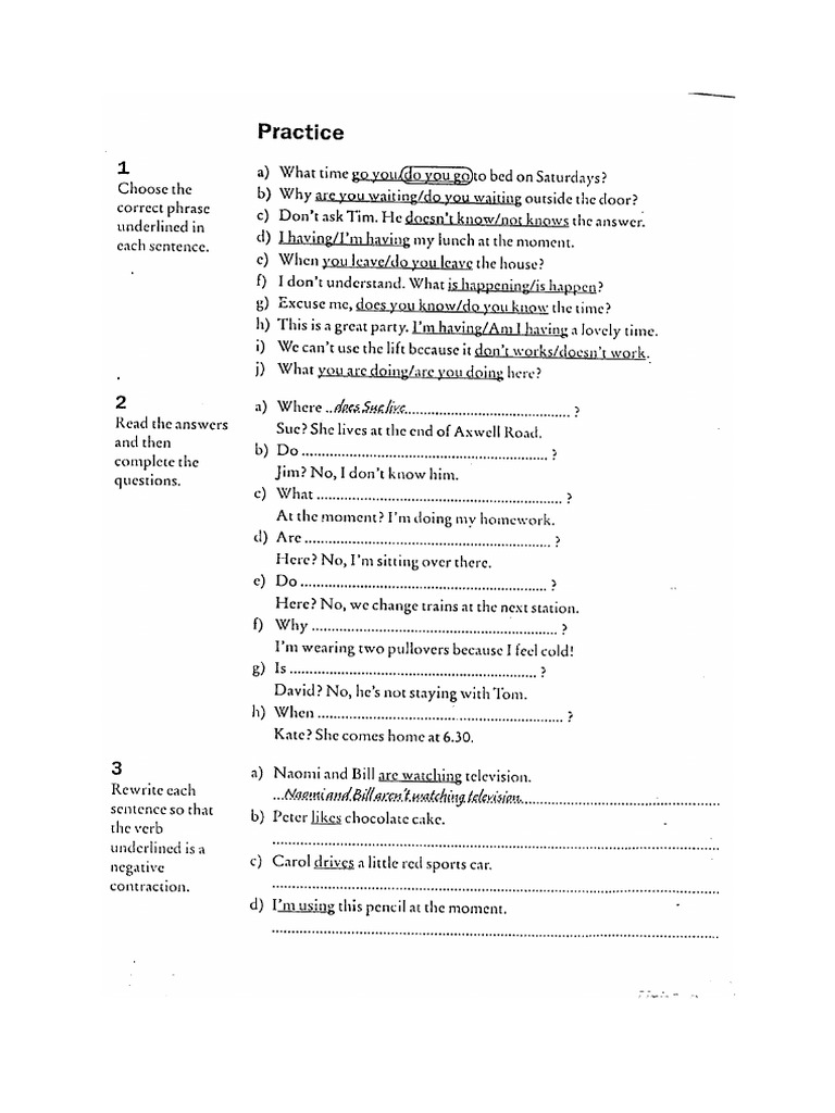 The Present Simple Intermediate (Vince) | PDF