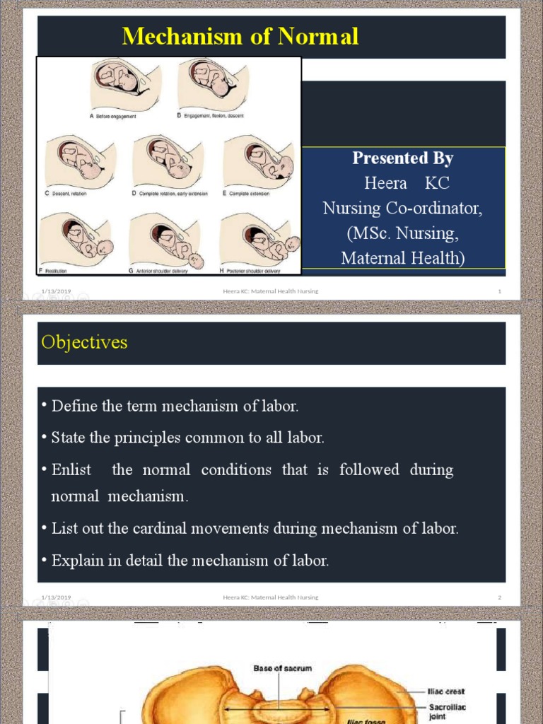 Mechanism of Normal Labor: Presented by | PDF | Pelvis | Childbirth