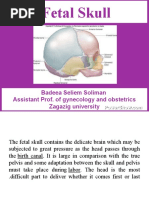 Fetal Skull Anatomy and Measurements | PDF | Skull | Skeletal System