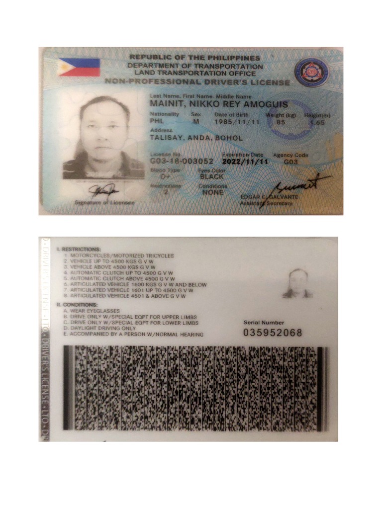 Driving License | PDF