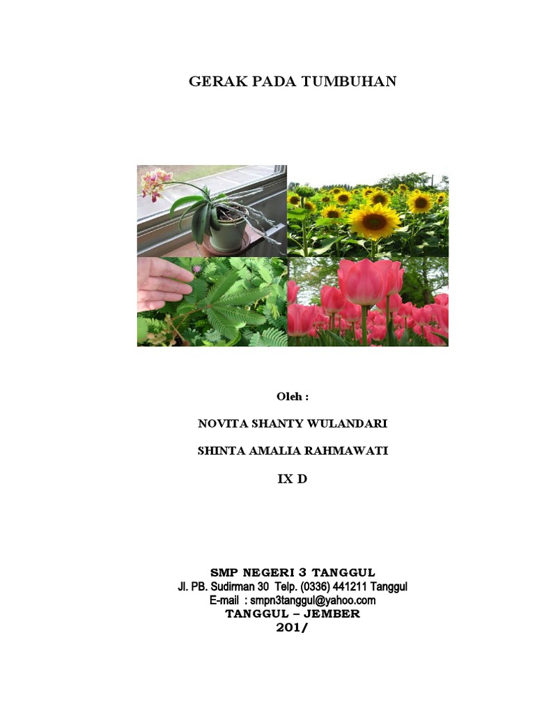 Sampul Kti | PDF