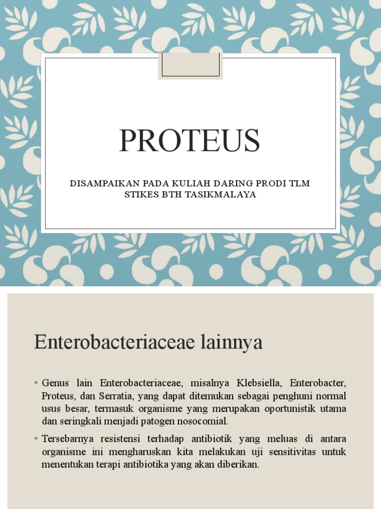 REAKSI KIMIA DALAM IDENTIFIKASI BAKTERI PROTEUS | PDF