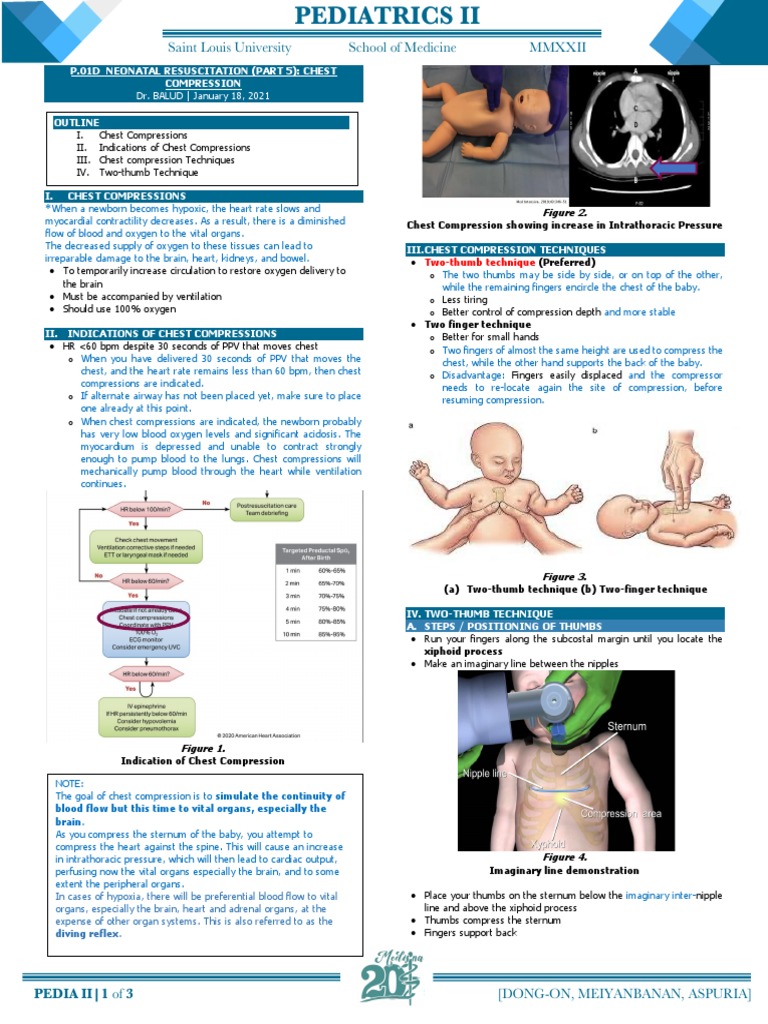 P.01D Foundations of Neonatal Resuscitation Part 5 | PDF ...