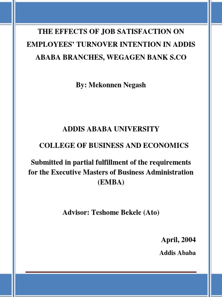 Mekonnen Negash | Download Free PDF | Turnover (Employment) | Job Satisfaction