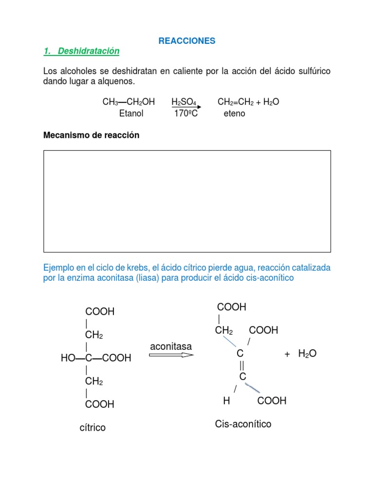 Deshidratación de Alcoholes y Ejemplos | PDF | Alcohol | Ácido láctico