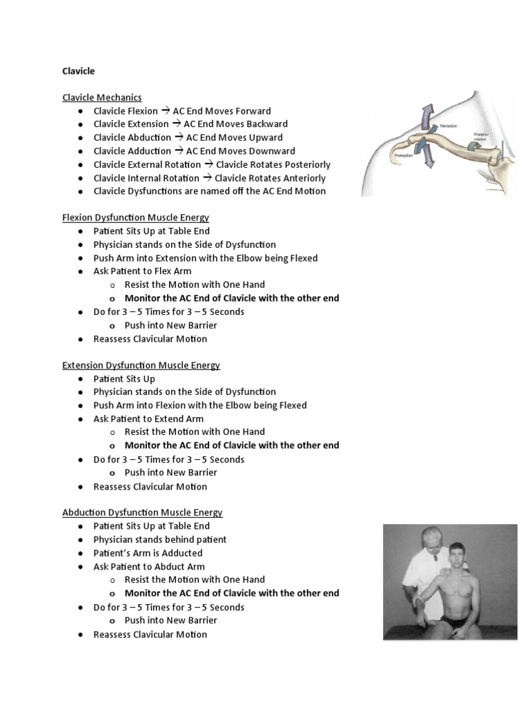 OMM Clavicle | PDF | Anatomical Terms Of Motion | Limbs (Anatomy)