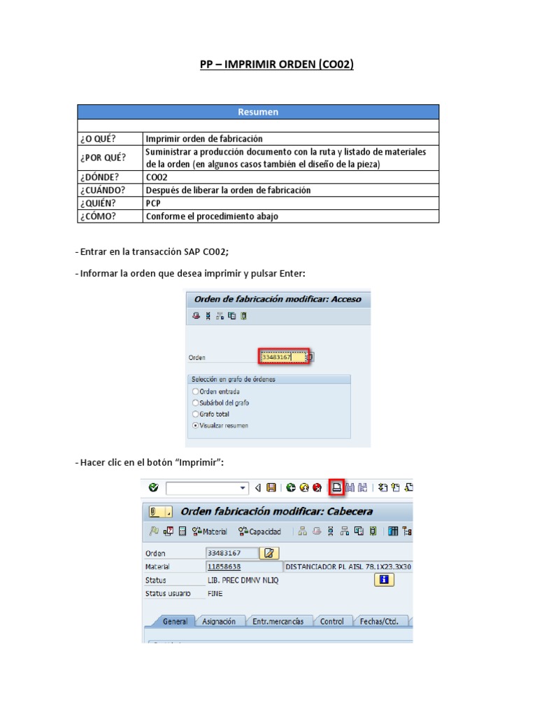 Imprimir Orden de Fabricación en SAP CO02 | PDF