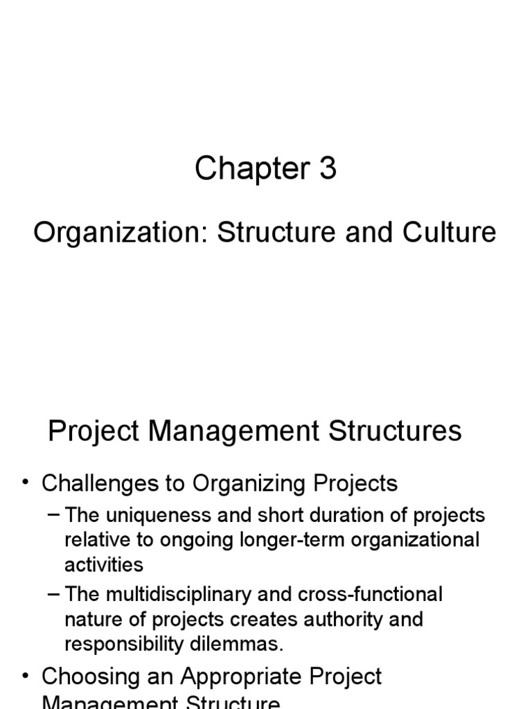 Organization: Structure and Culture | PDF | Organizational Culture ...